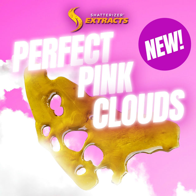 New Pink Gas Shatter Shatterizer Family! – Shatterizer Extracts Canada