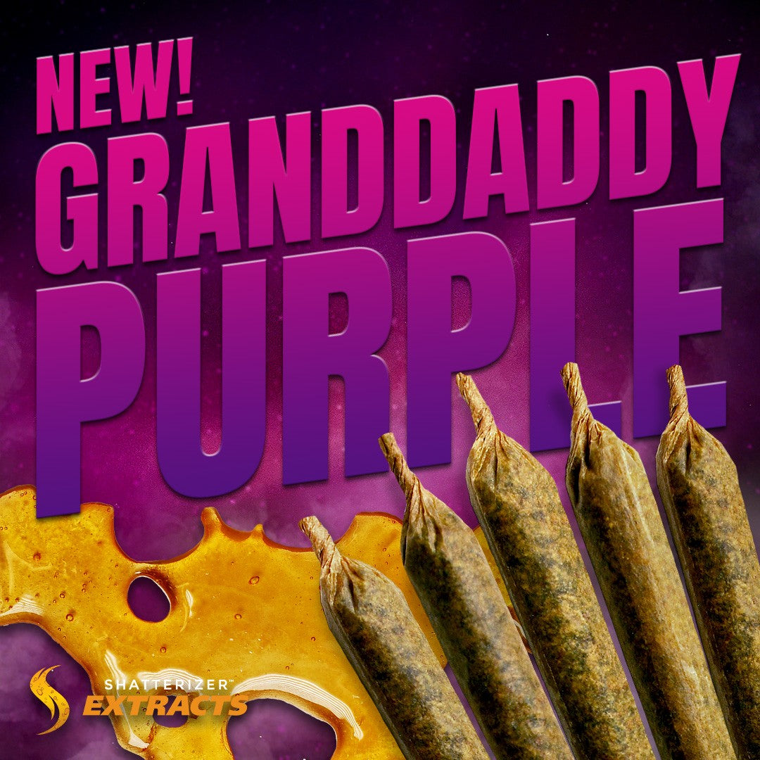 Granddaddy Purple Shatter Infused Pre-Rolls (5 x 0.5g) – Shatterizer ...